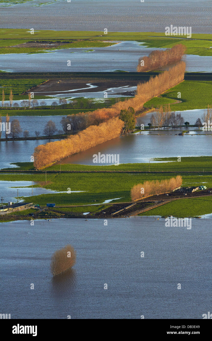 Taieri plain mosgiel hi-res stock photography and images - Alamy