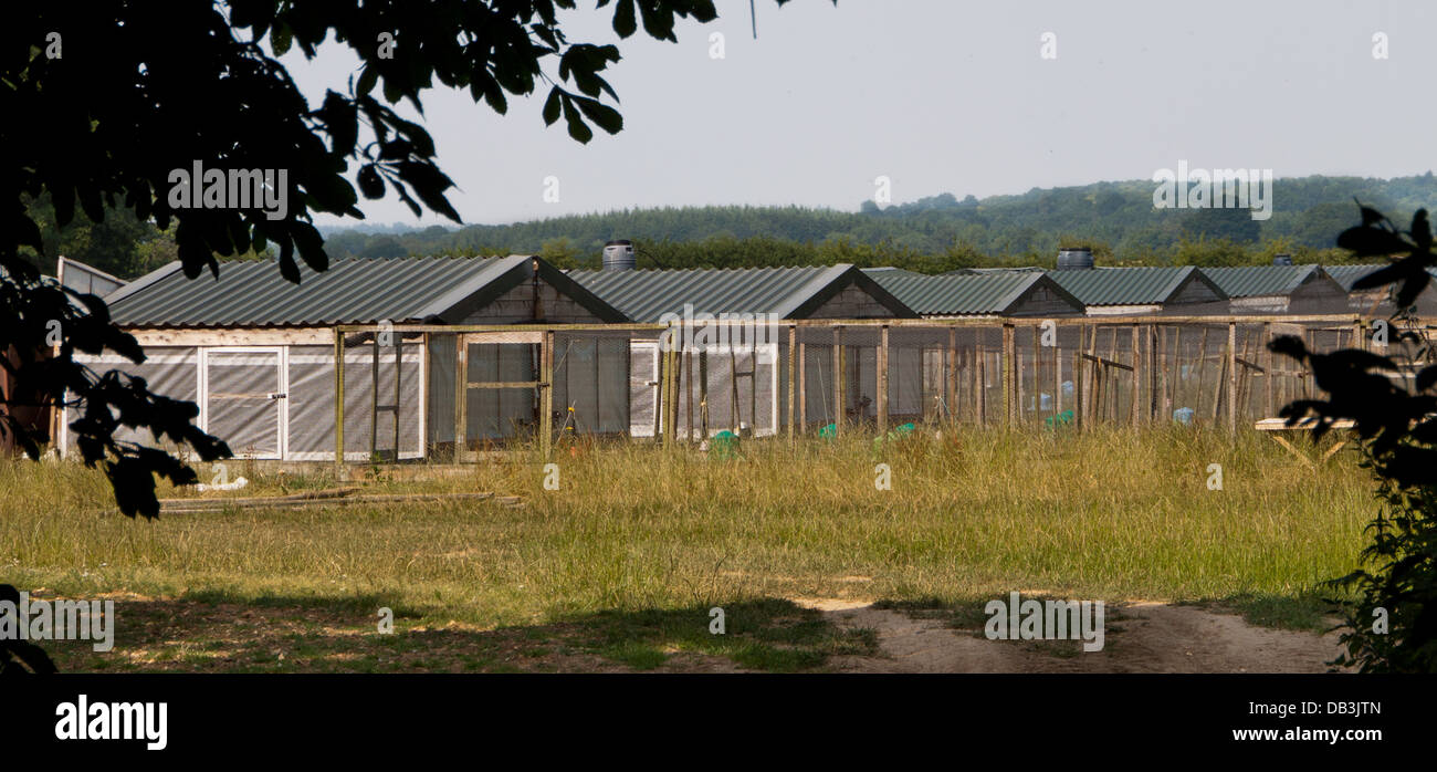 Pheasant breeding pens on a private shooting estate Stock Photo - Alamy
