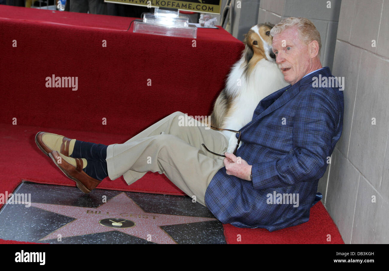 Bill Geist, Lassie Bill Geist Honored with a star On The Hollywood Walk ...