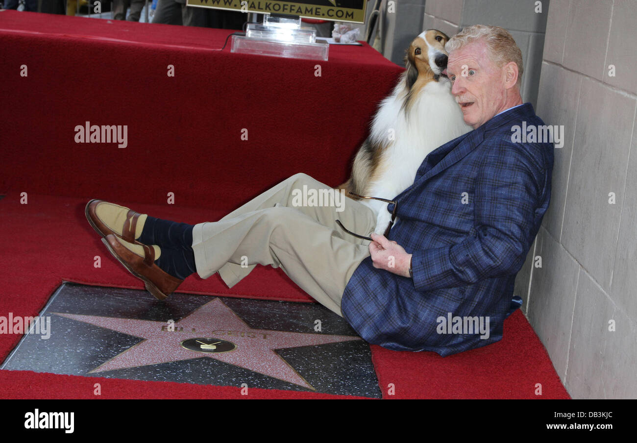 Bill Geist, Lassie Bill Geist Honored with a star On The Hollywood Walk ...