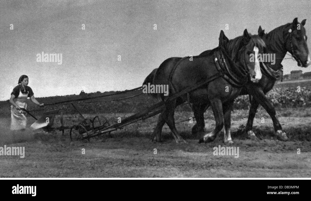 Nazi germany 1930s hi-res stock photography and images - Alamy