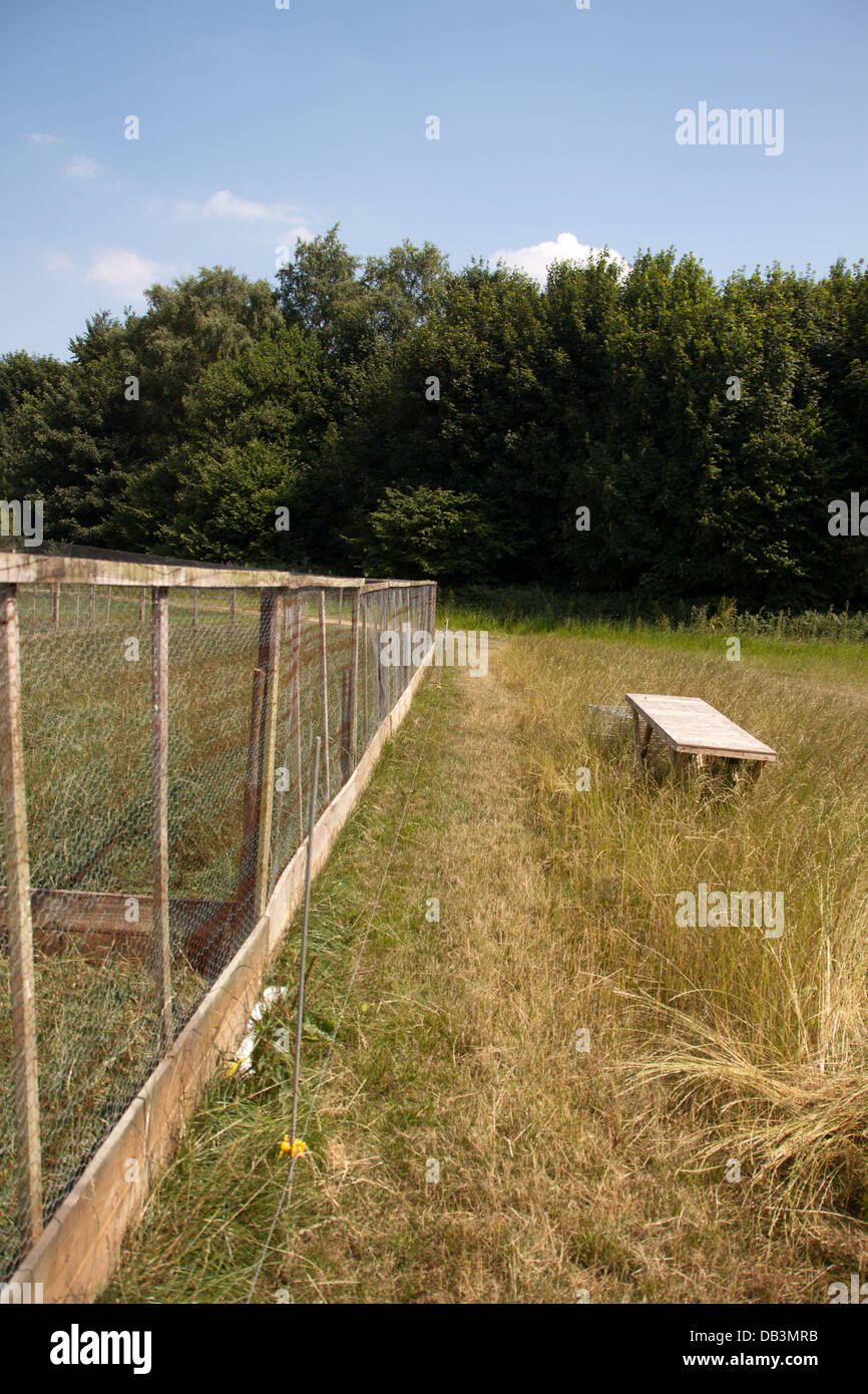 Pheasant breeding pens on a private shooting estate Stock Photo - Alamy