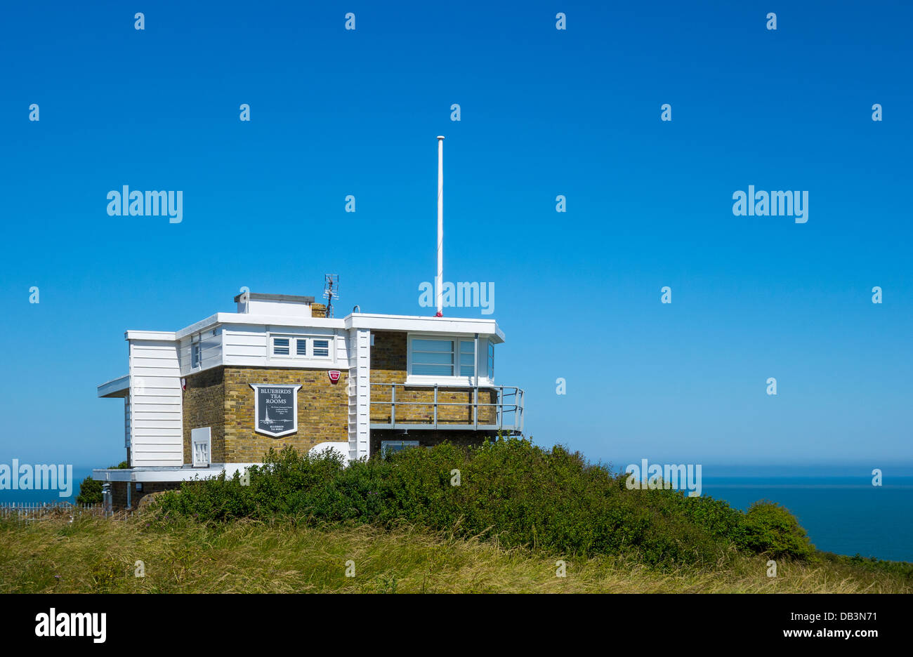 Bluebirds hi-res stock photography and images - Alamy