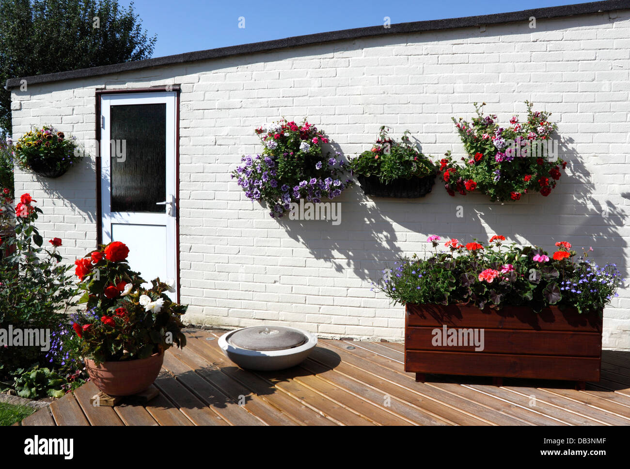 Uk garden summer containers hi-res stock photography and images - Alamy