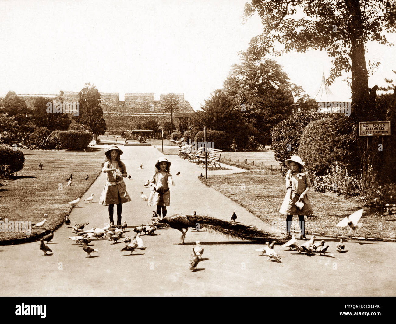 Rochester Castle Gardens early 1900s Stock Photo - Alamy