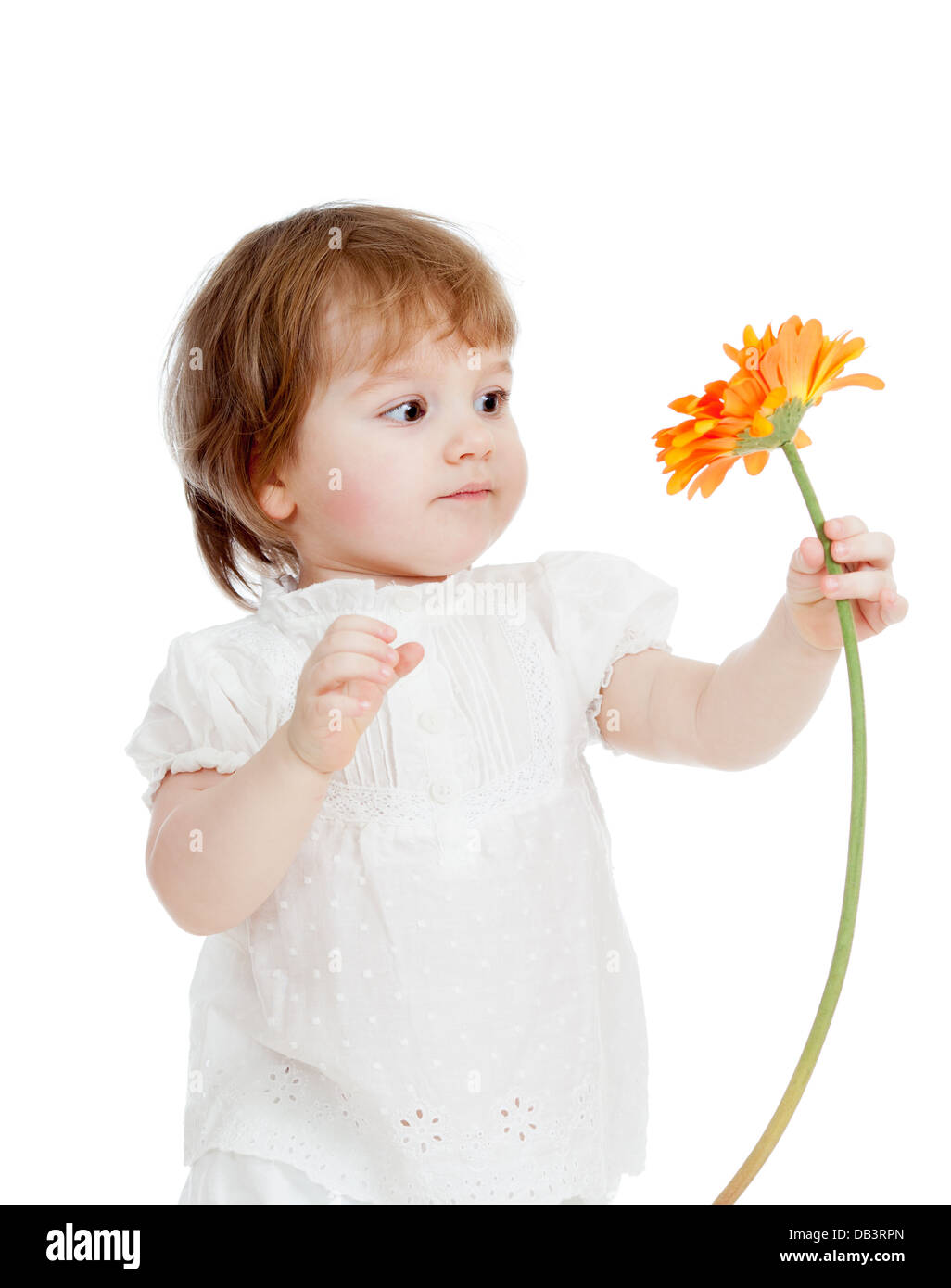 Cute beautiful flower hi-res stock photography and images - Alamy