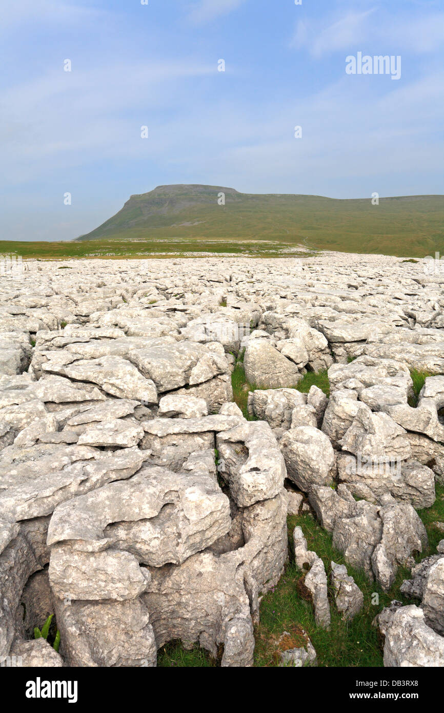 Ingleborough from White Scar limestone pavement, North Yorkshire ...