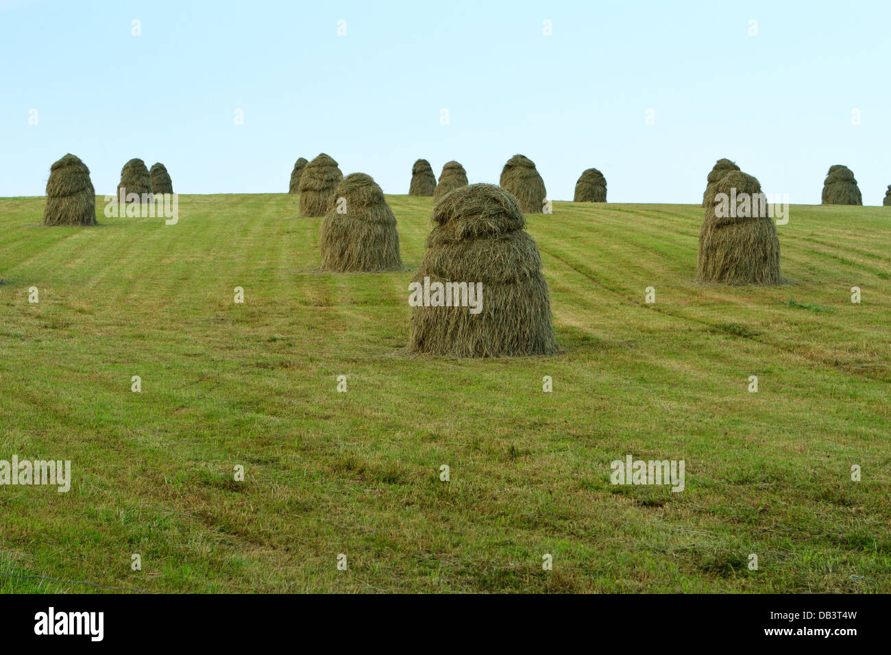 Hay stooks hi-res stock photography and images - Alamy
