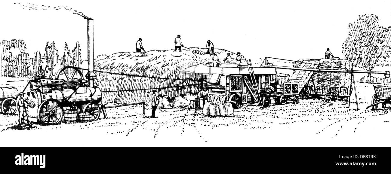 agriculture, farm labour, harvest, stationary thresher, elavator, straw ...