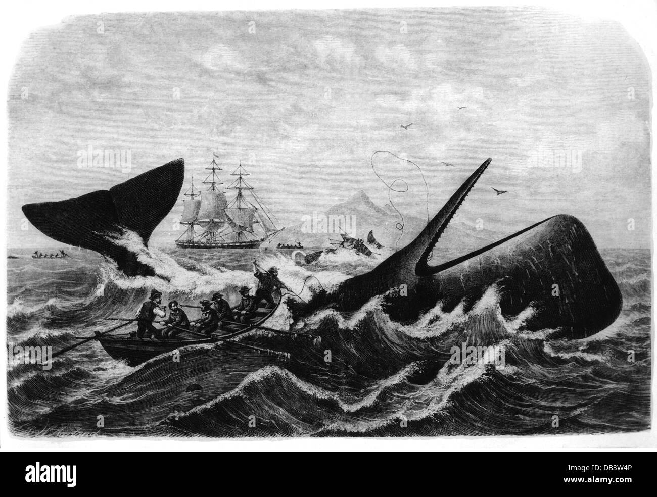 19th century engraving sperm whale hi-res stock photography and images ...