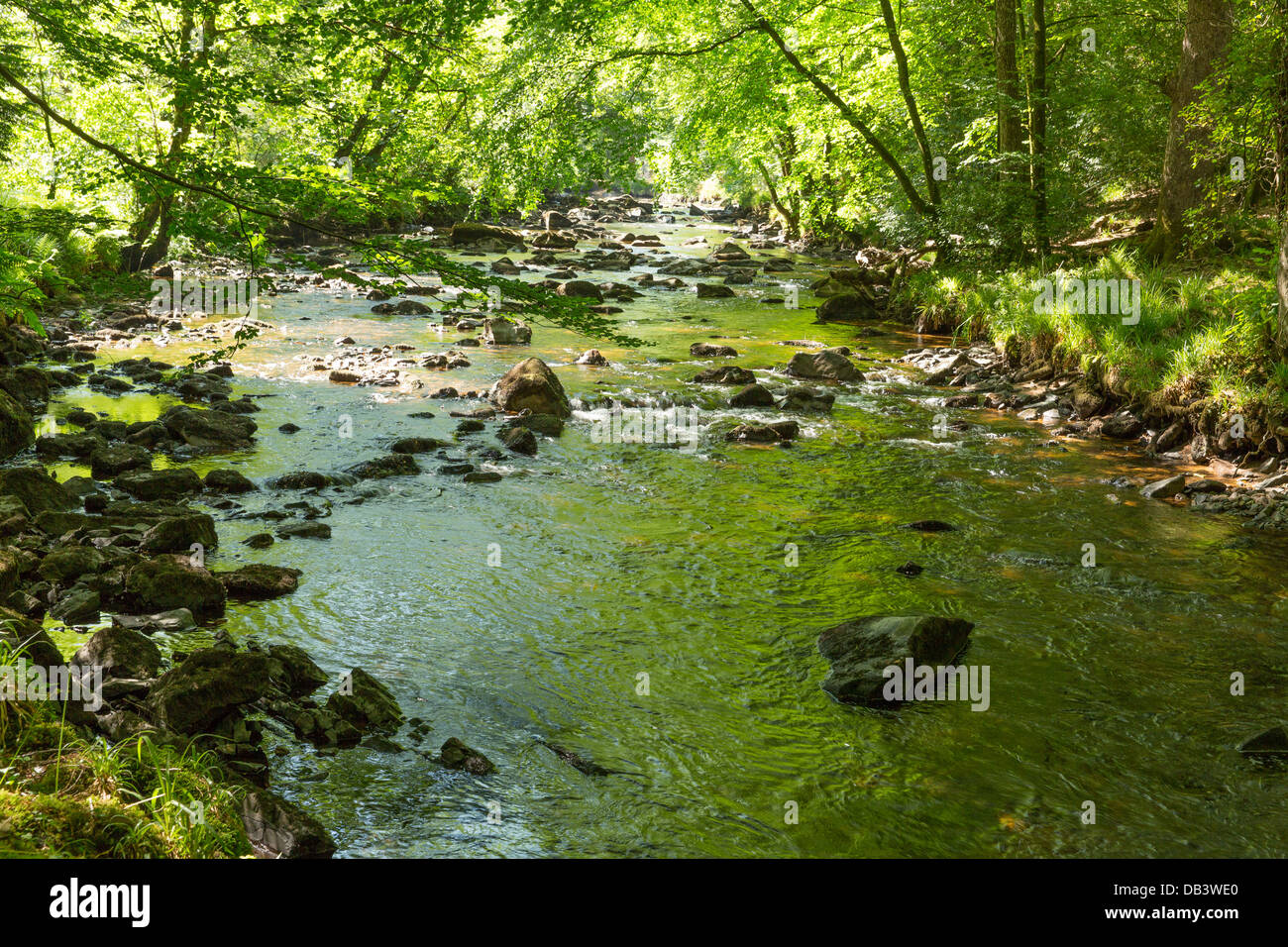 Fingle bridge dartmoor hi-res stock photography and images - Alamy