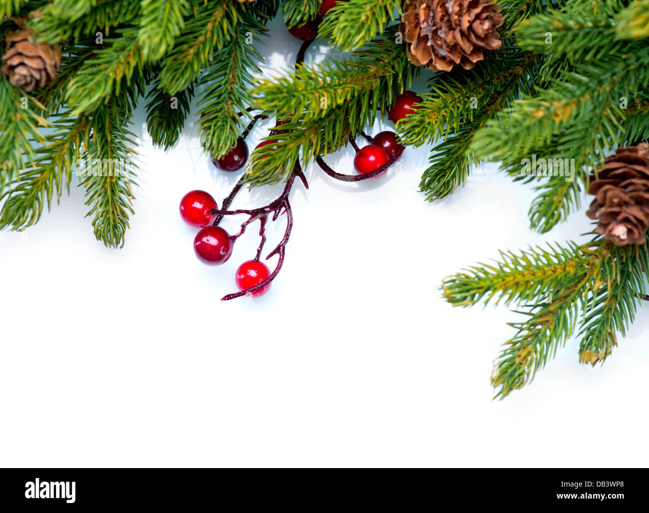 Christmas. Evergreen Fir tree Border Design Stock Photo - Alamy