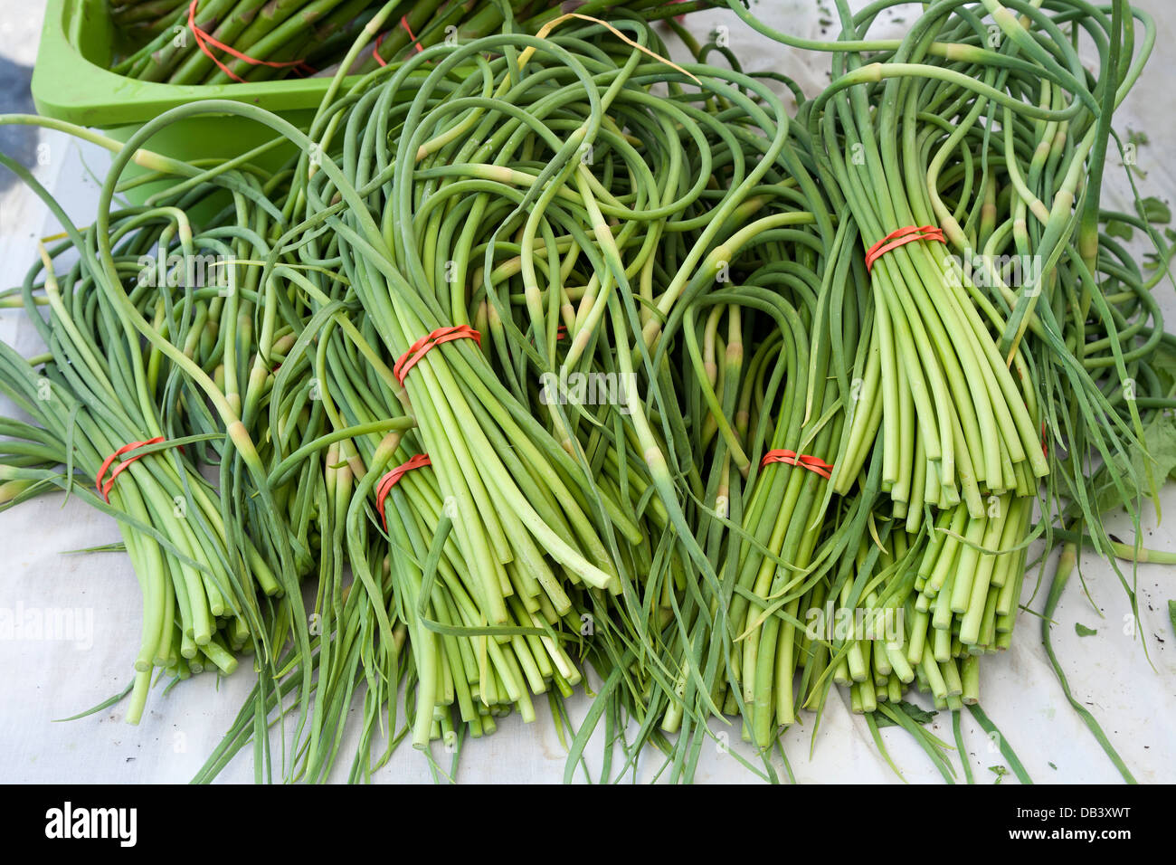 Fresh Chinese garlic grass for sale on Union Square greenmarket, New ...