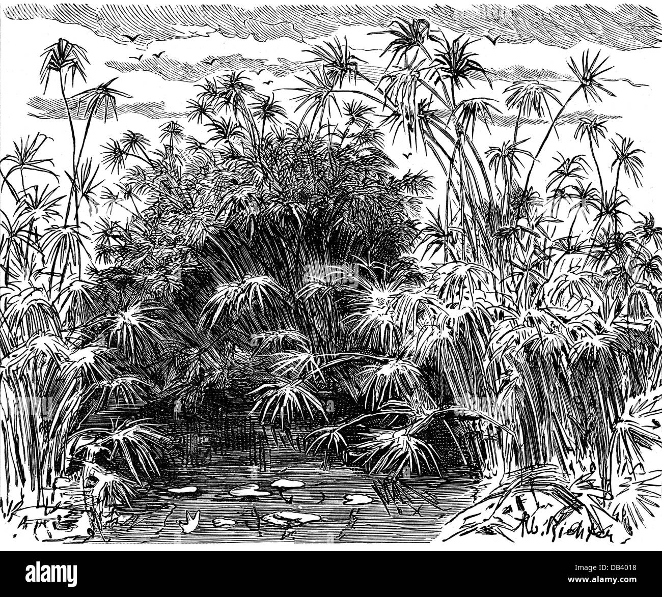 geography / travel, Egypt, landscapes, landscape on the lower Nile with ...