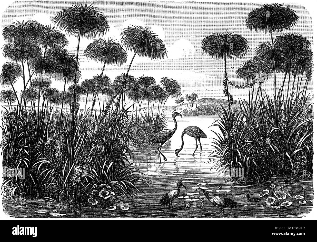 geography / travel, Egypt, landscapes, landscape on the lower Nile with ...