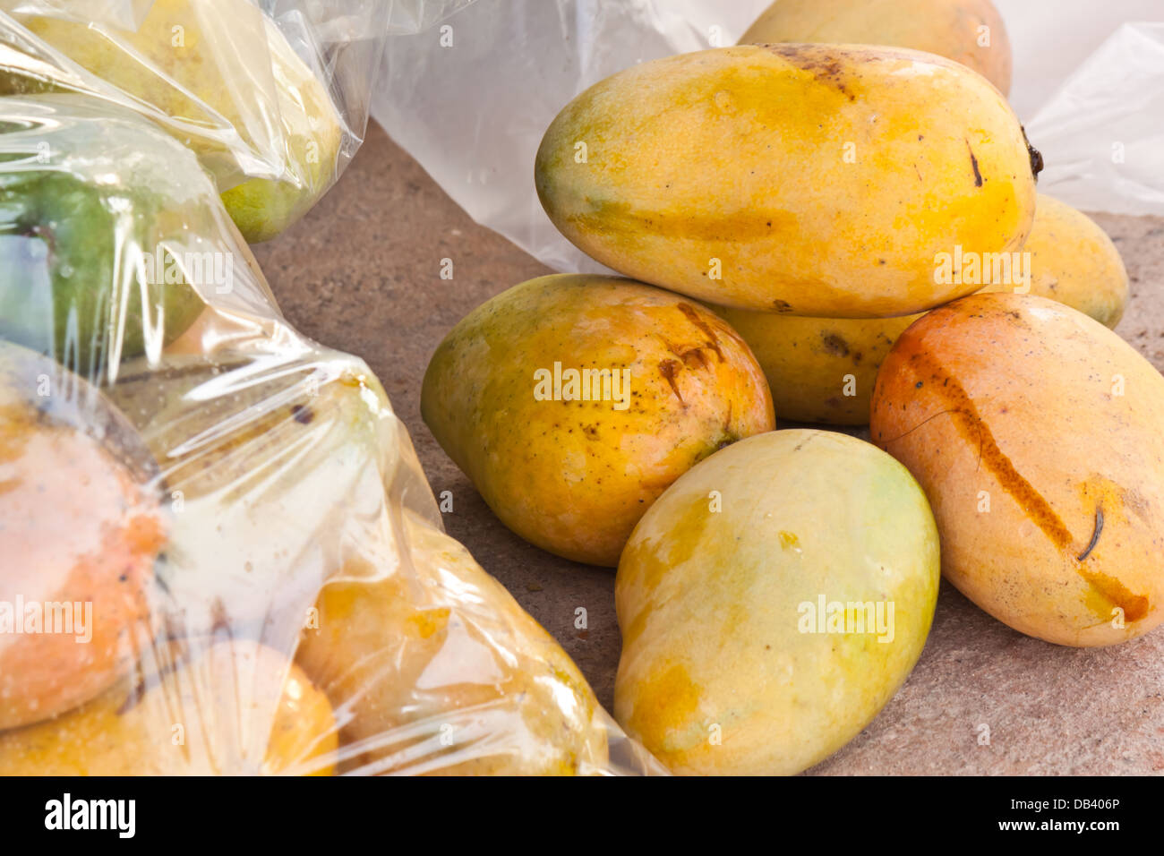 Ripe mango tree hi-res stock photography and images - Alamy