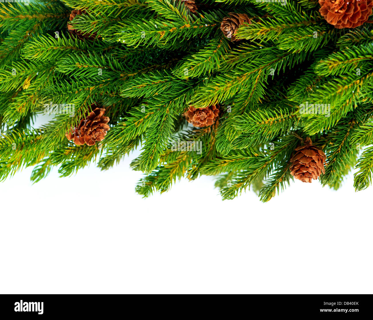 Christmas Tree Border Design Over White Stock Photo - Alamy