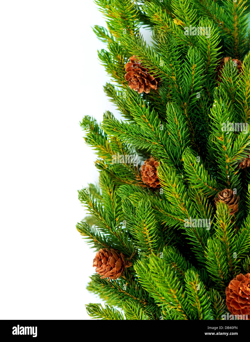 Christmas Tree Border Design Over White Stock Photo - Alamy