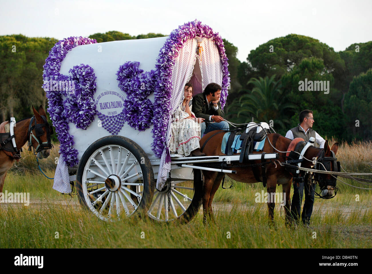 Catholic pilgrims traveling in horse-drawn wagons making the pilgrimage ...