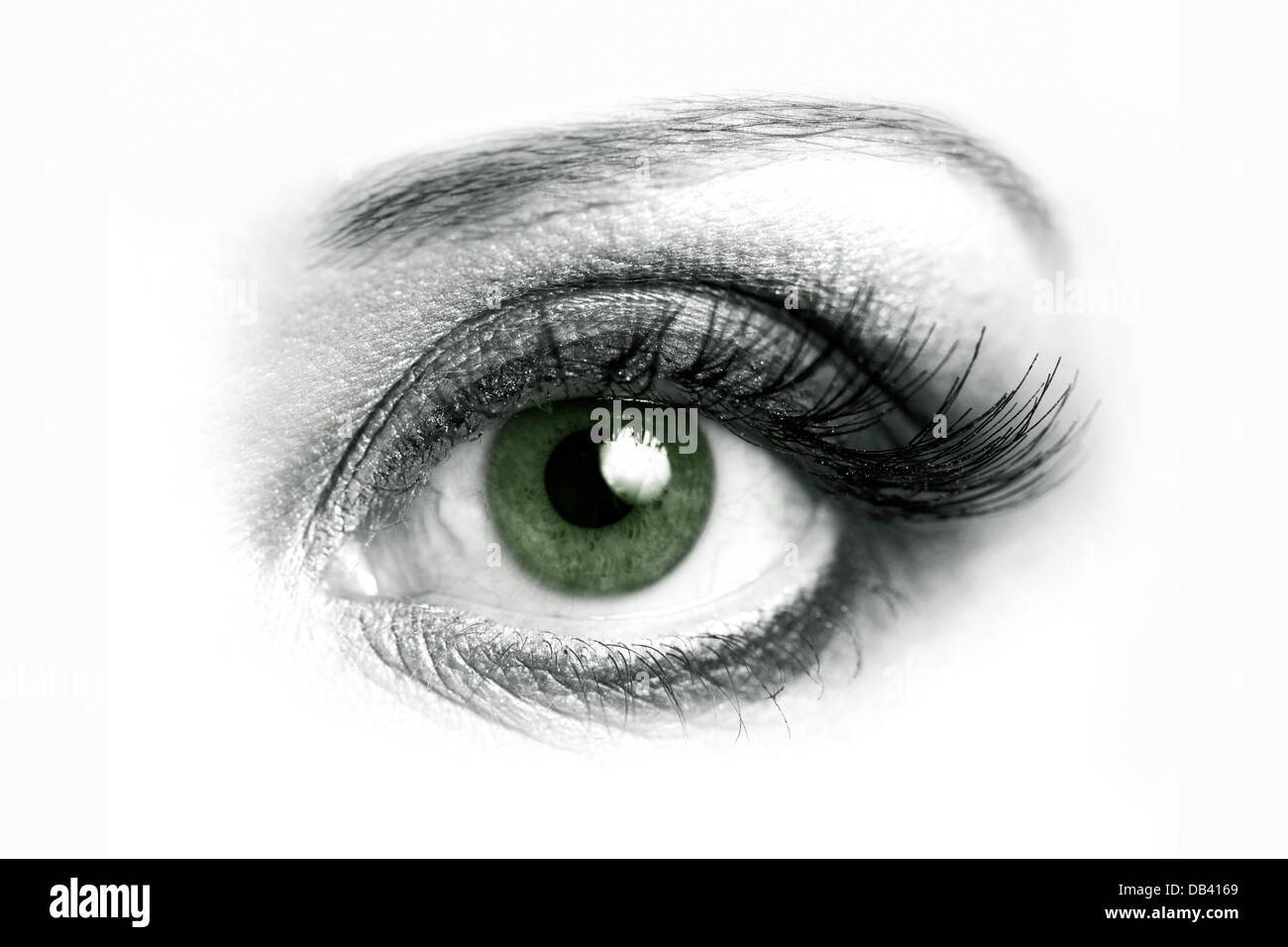 Beautiful green eye of a woman on a white background Stock Photo - Alamy