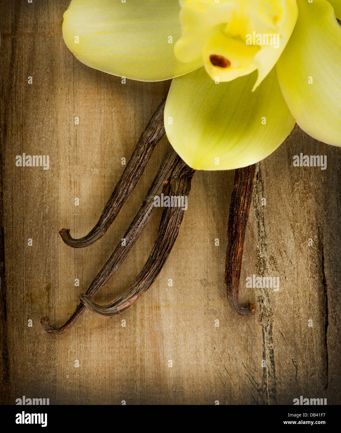 Vanilla perfume hi-res stock photography and images - Alamy