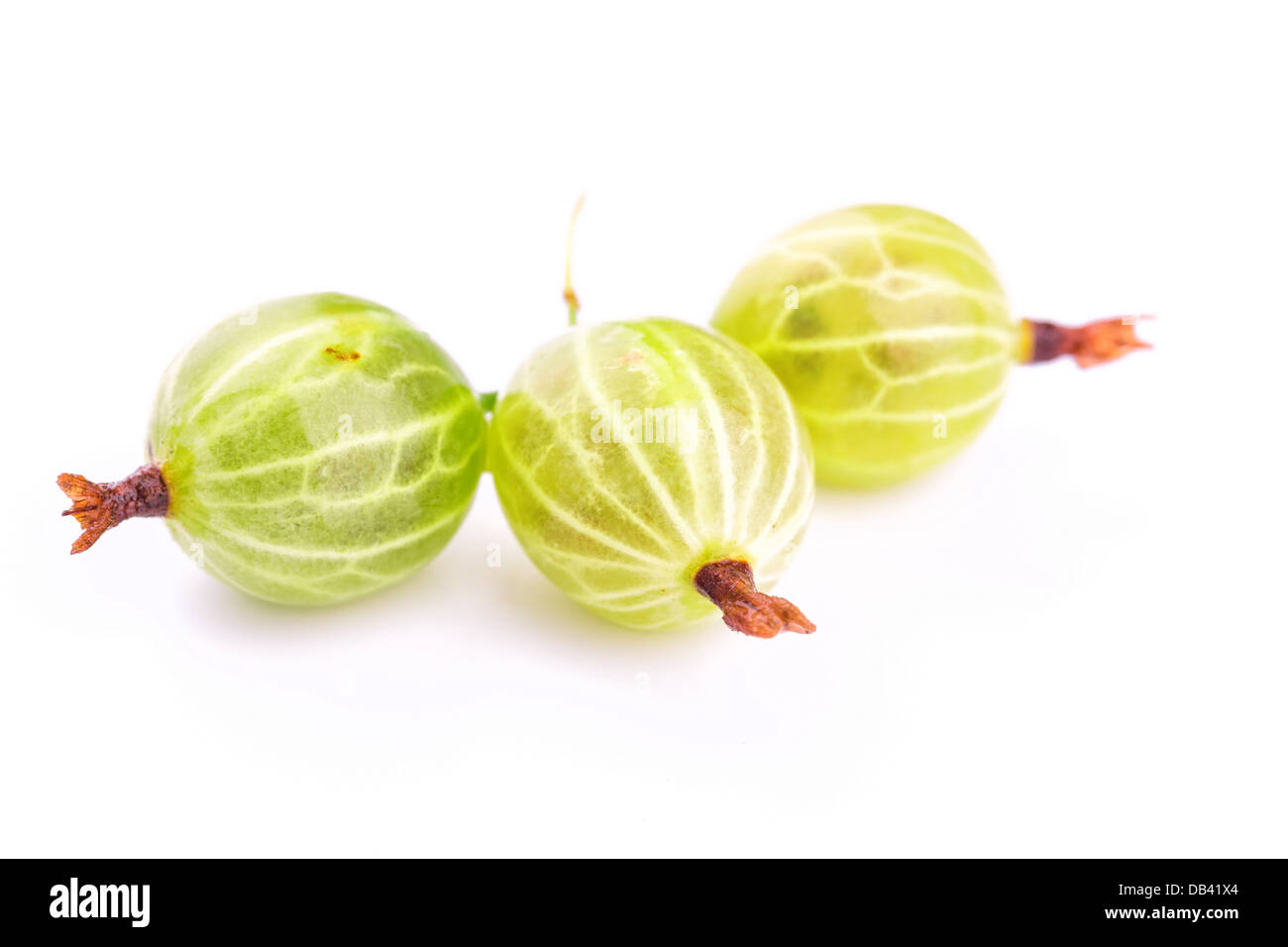 Gooseberries isolated on white background Stock Photo - Alamy