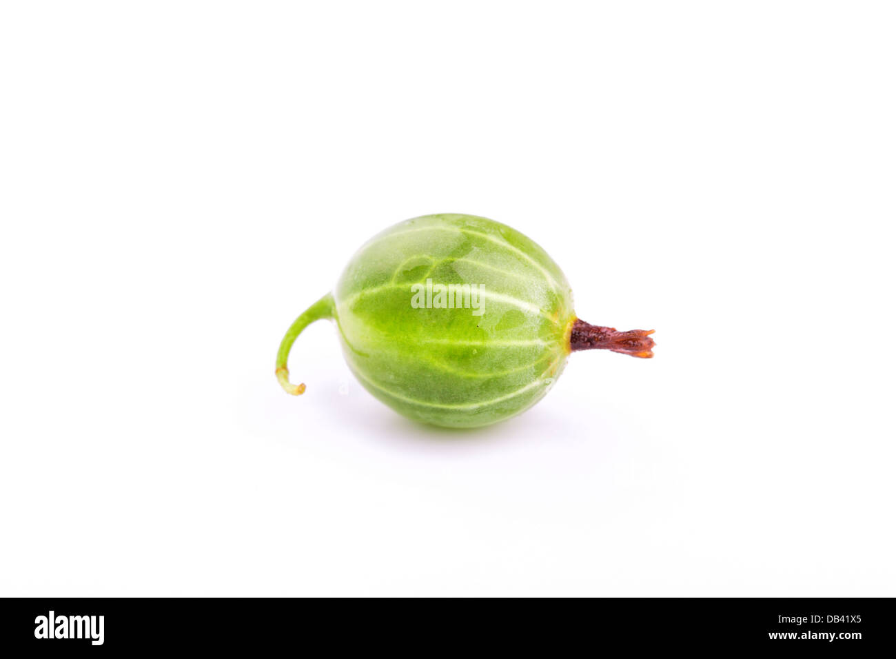 Gooseberry isolated on white background Stock Photo - Alamy