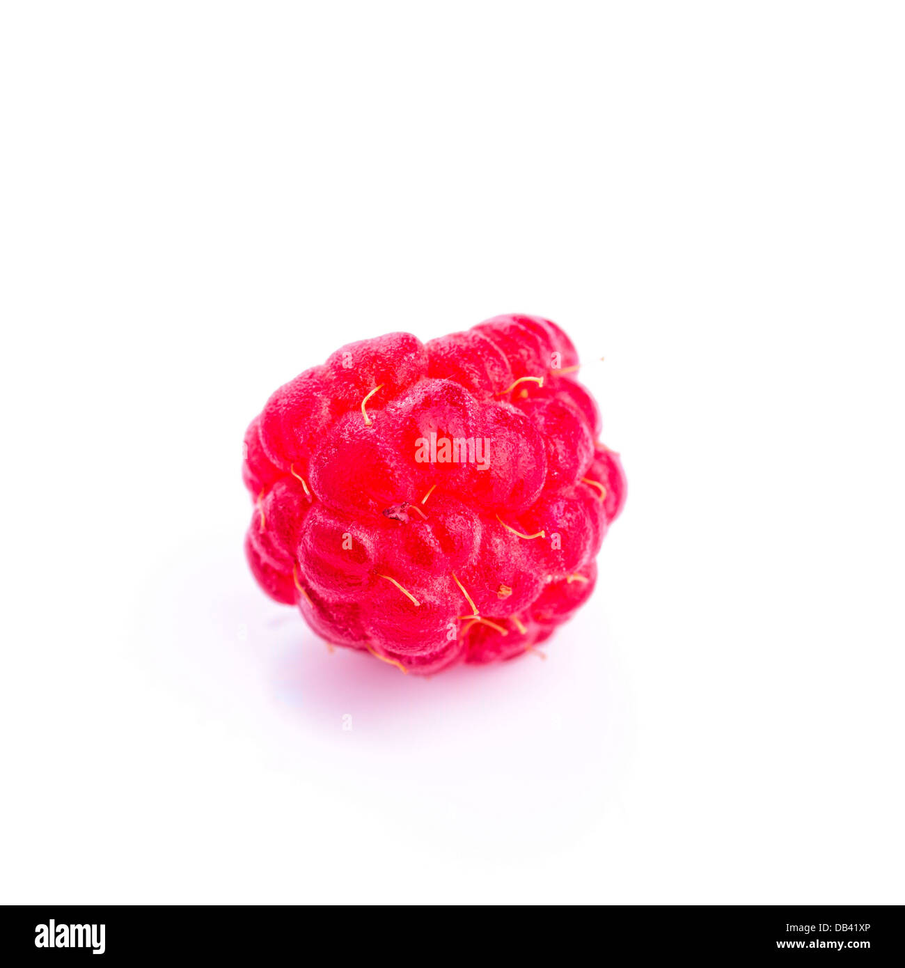 Ripe raspberry isolated on a white background Stock Photo - Alamy