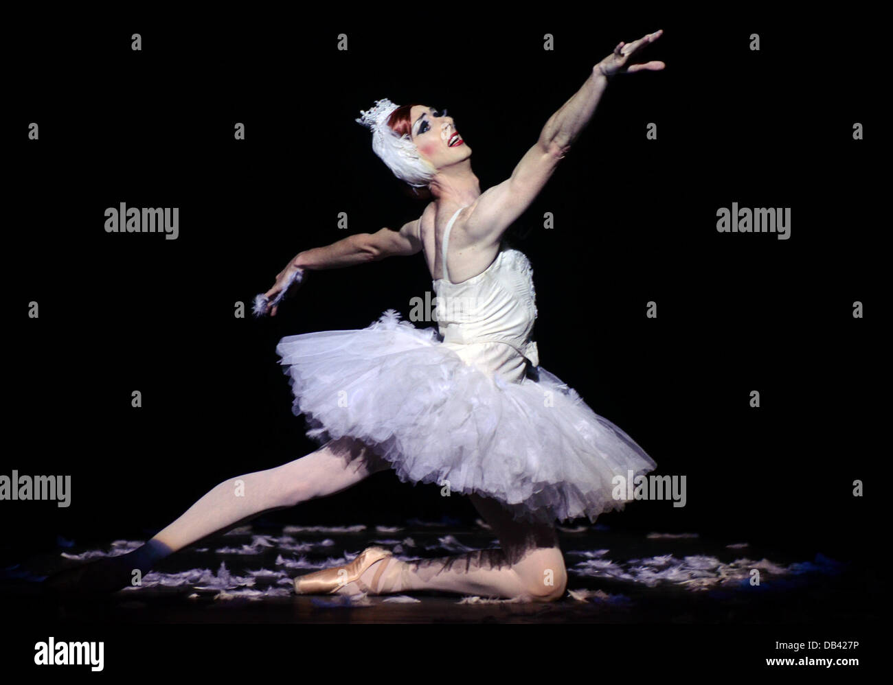 Dying swan hi-res stock photography and images - Alamy