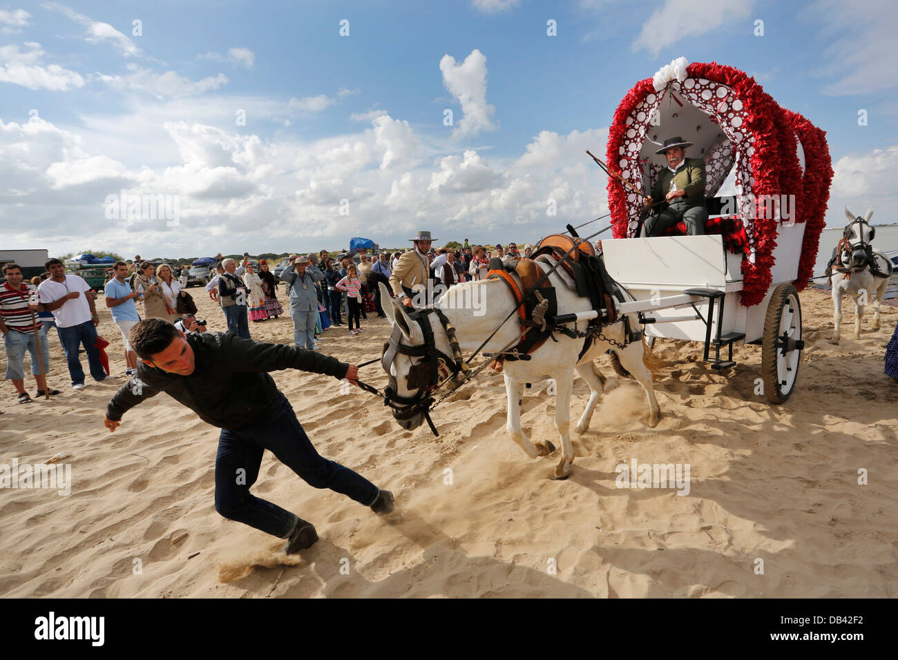 Traditional Spanish gypsy horse-drawn caravans, making the pilgrimage ...
