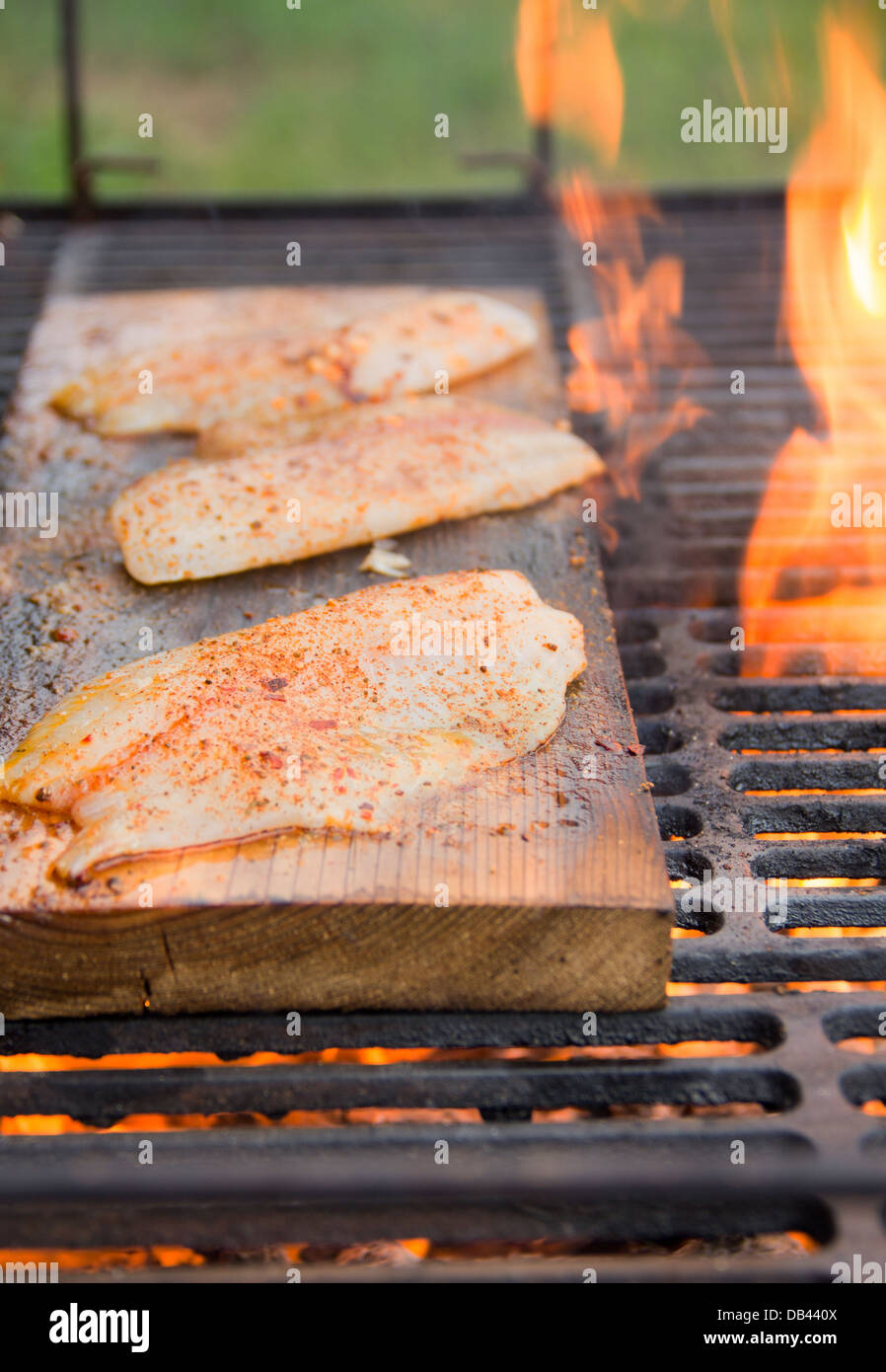 Flames and whitefish Stock Photo - Alamy