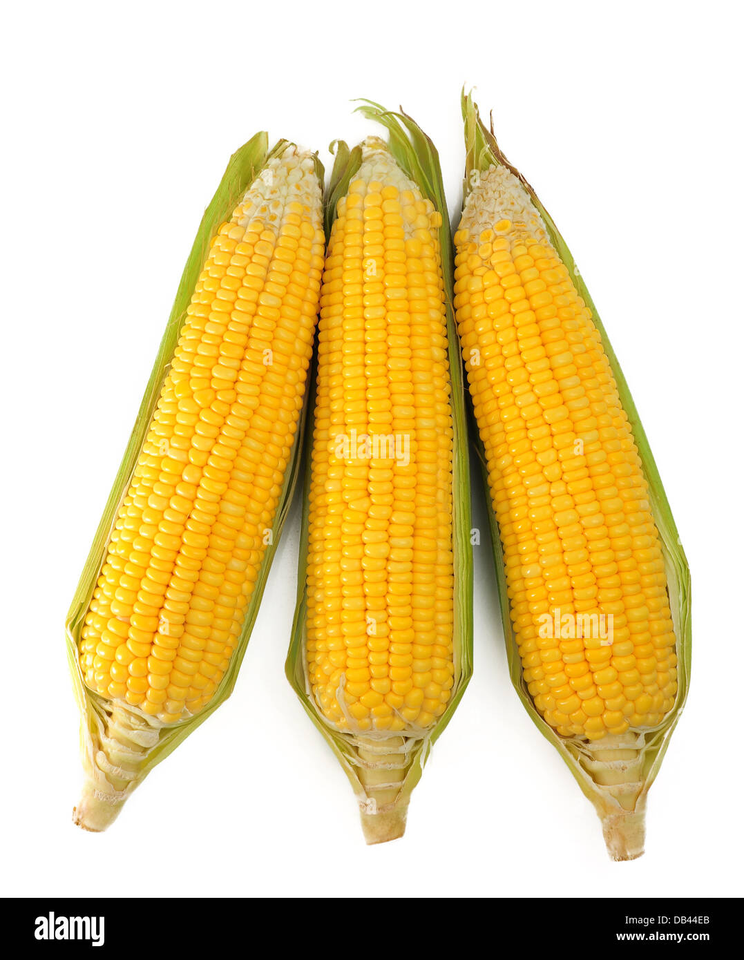 Corn crop Cut Out Stock Images & Pictures - Alamy
