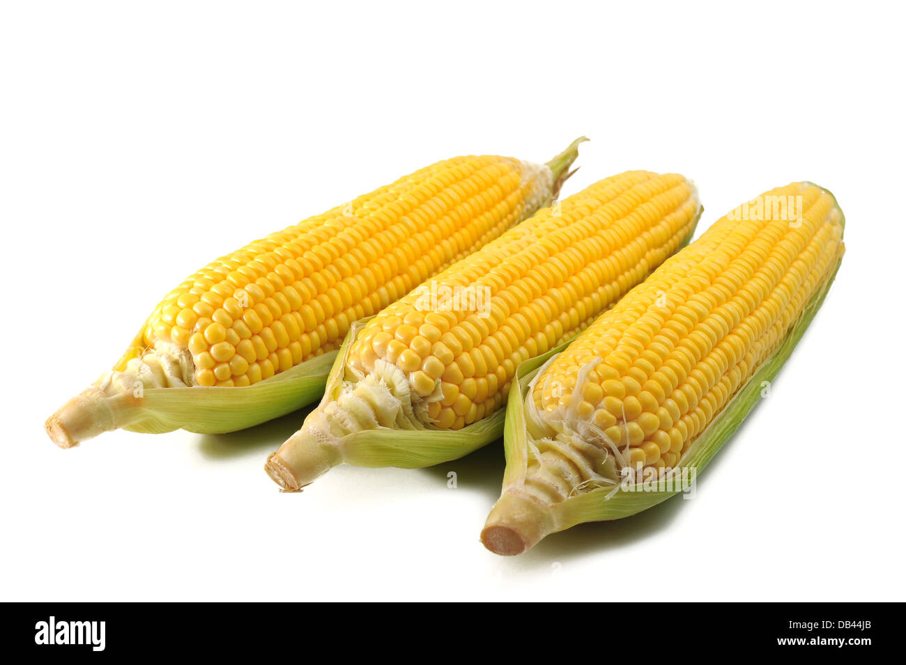 Corn crop Cut Out Stock Images & Pictures - Alamy