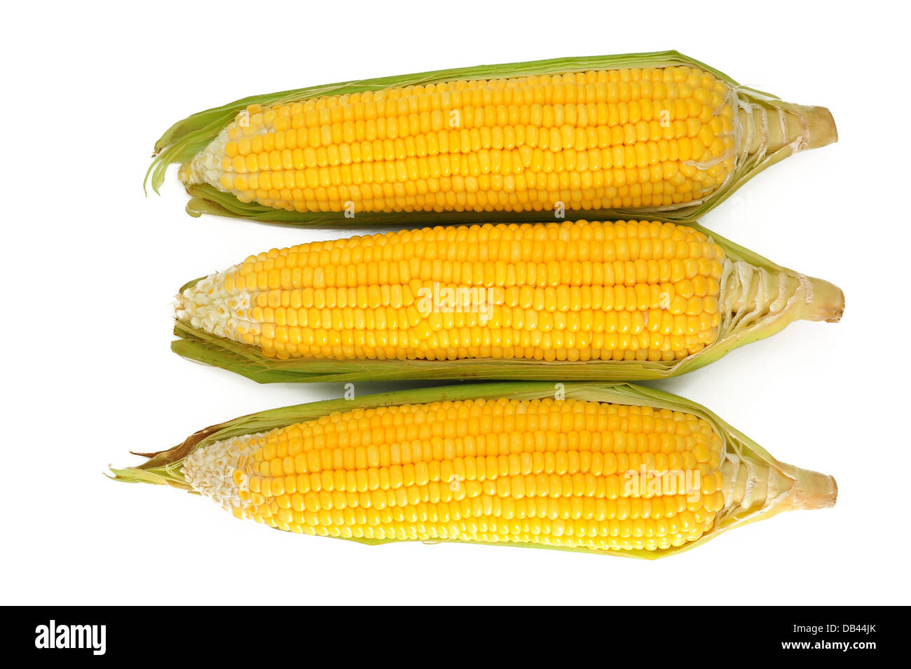Corn food vegetable agriculture hi-res stock photography and images - Alamy