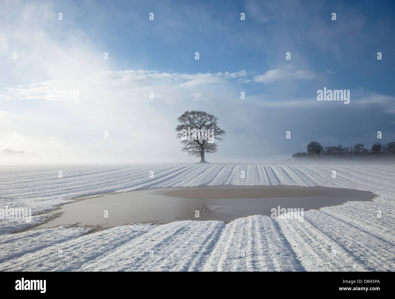 Lone Tree In Snow Covered Winter Landscape High Resolution Stock ...