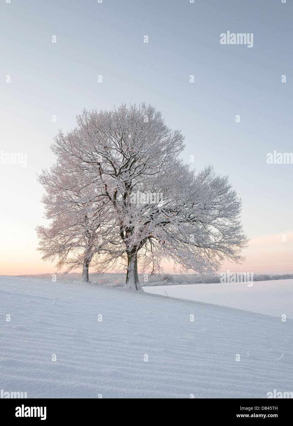 Bitter cold hi-res stock photography and images - Alamy
