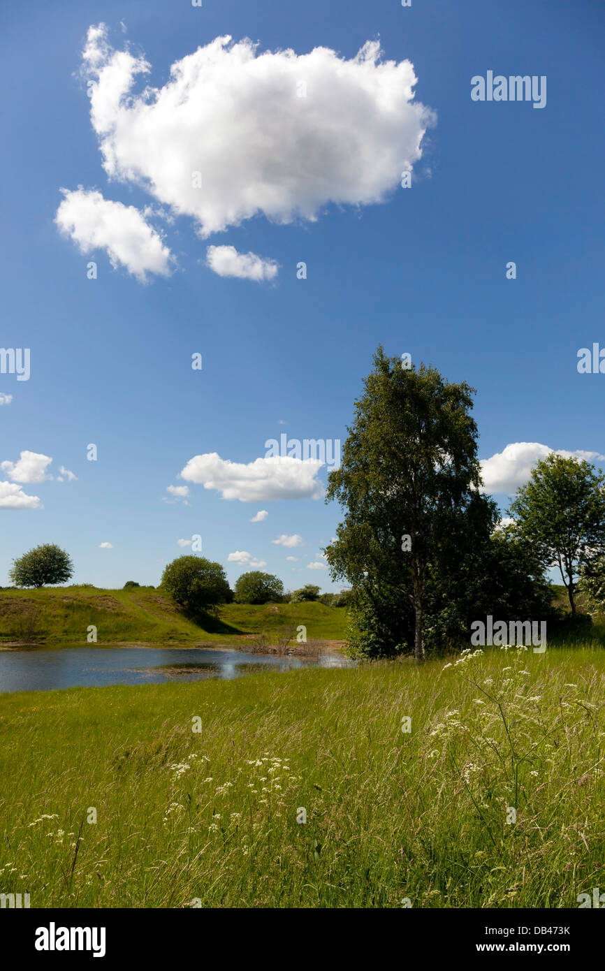 Danish Summer landscape. central Zealand, Denmark Stock Photo - Alamy