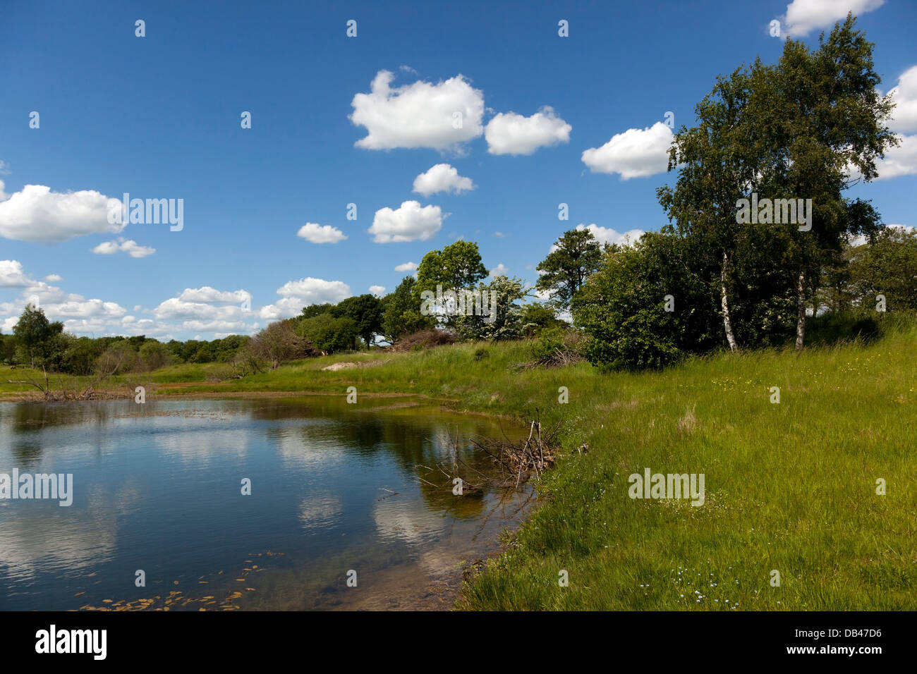 Danish Summer landscape. mid Zealand, Denmark Stock Photo - Alamy