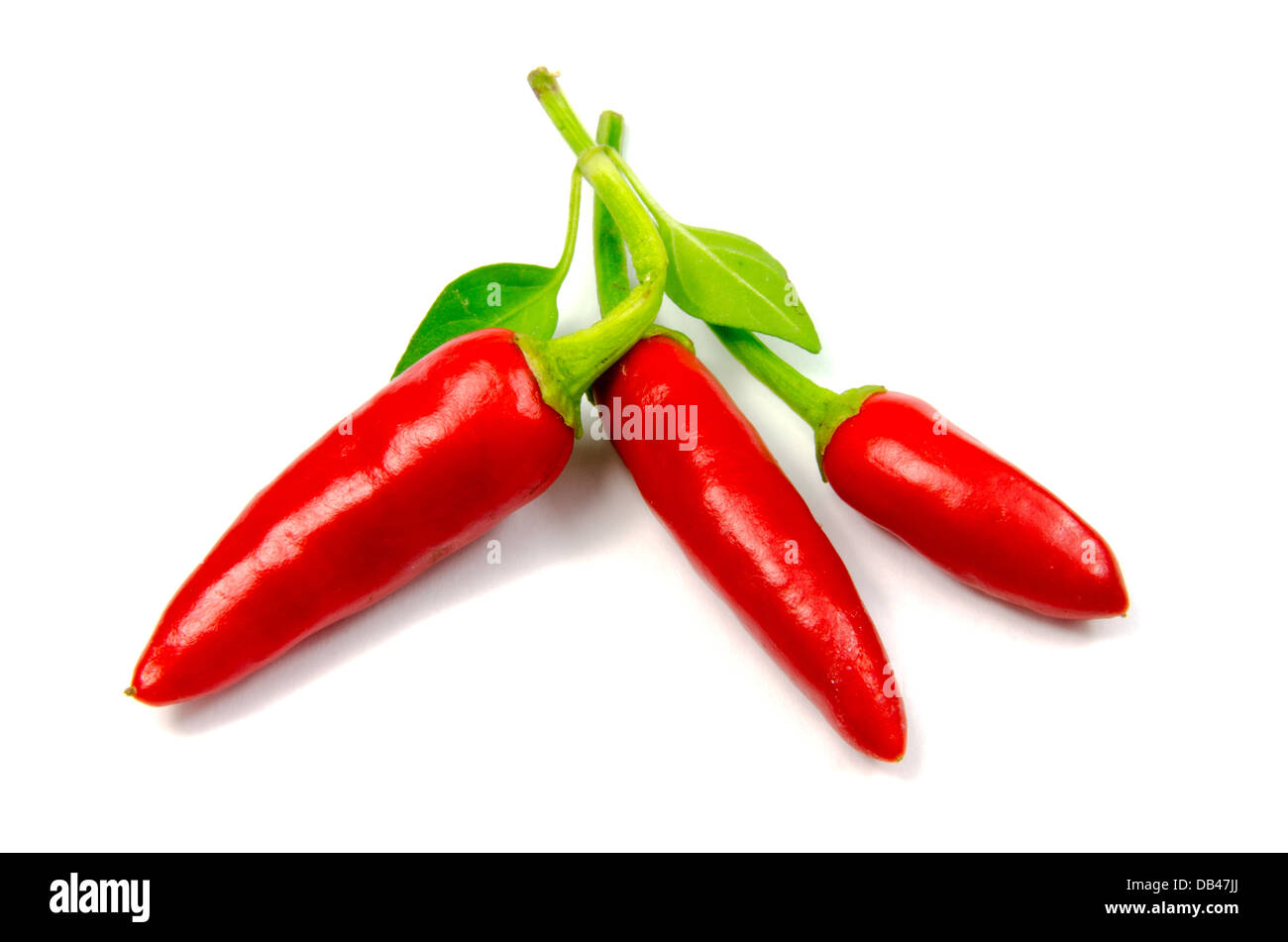 Three red chillies on white background Stock Photo - Alamy