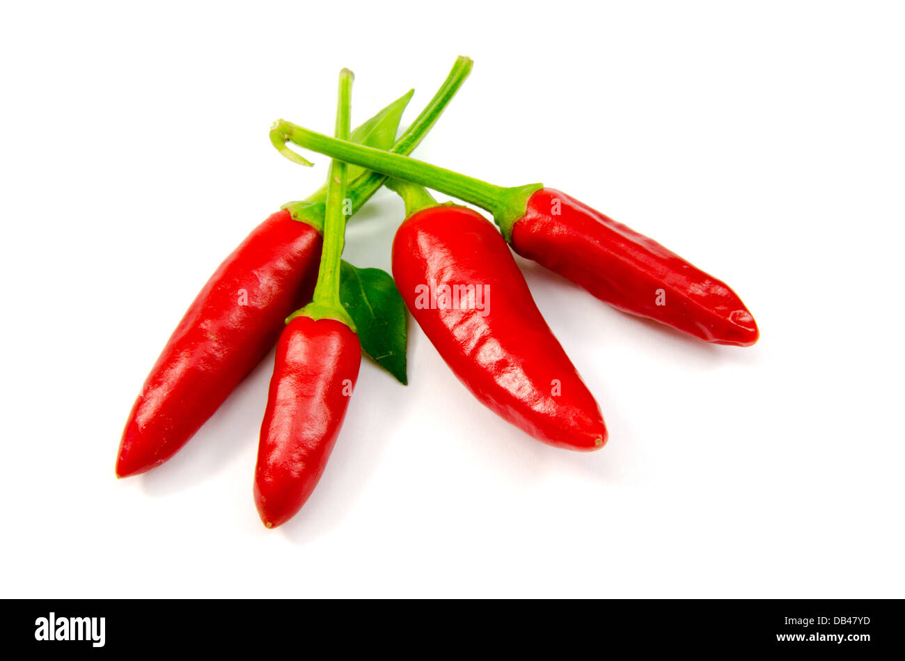 Four red chillies on white background Stock Photo - Alamy