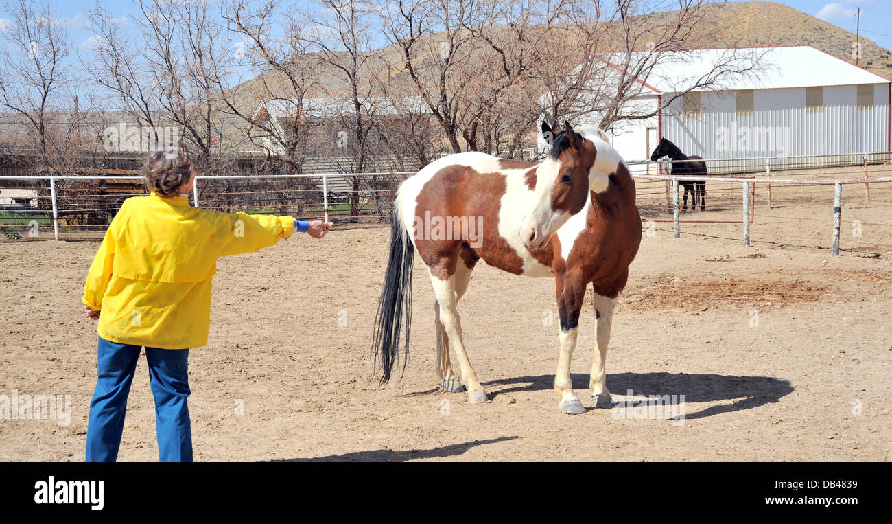 Female rancher hi-res stock photography and images - Alamy