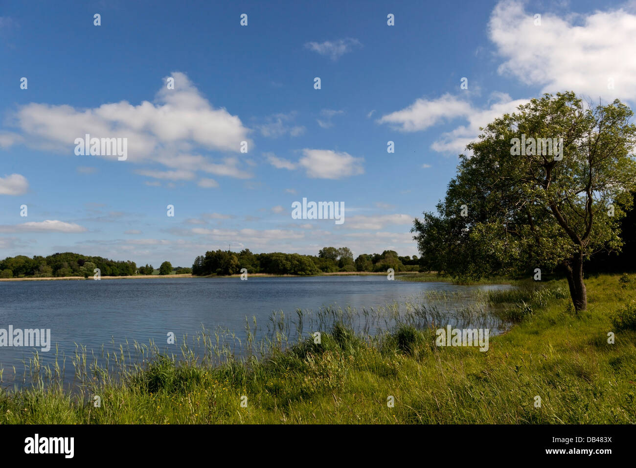 Danish Summer landscape. mid Zealand, Denmark Stock Photo - Alamy