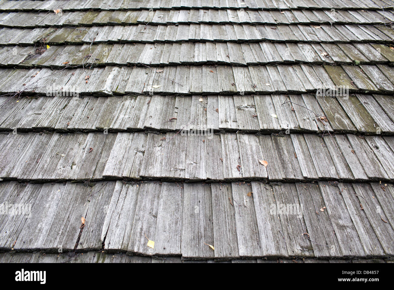 Sixteenth century Forge Water in Gdansk Oliwa. Architecture and detail ...