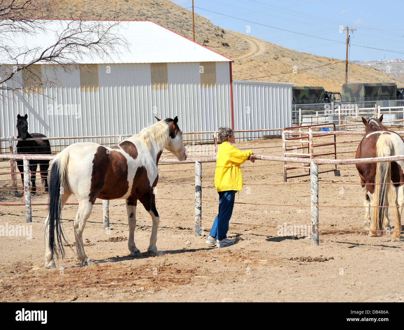 Rancher hi-res stock photography and images - Alamy