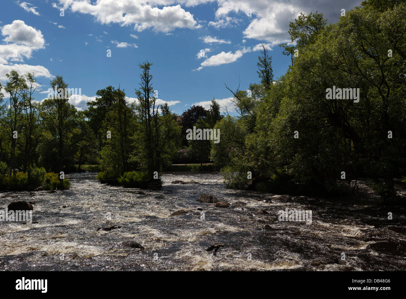 Mörrum River, Mörrum, Sweden Stock Photo - Alamy