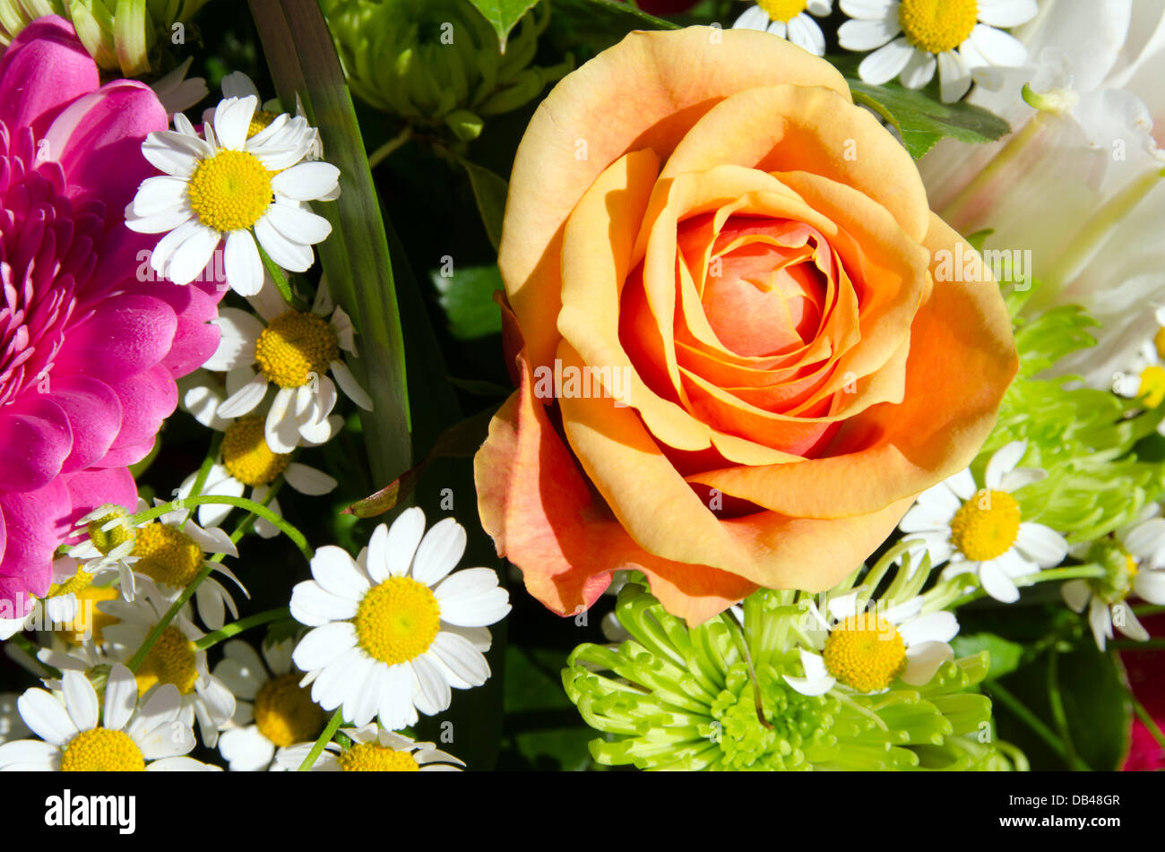A mix of flowers Stock Photo - Alamy