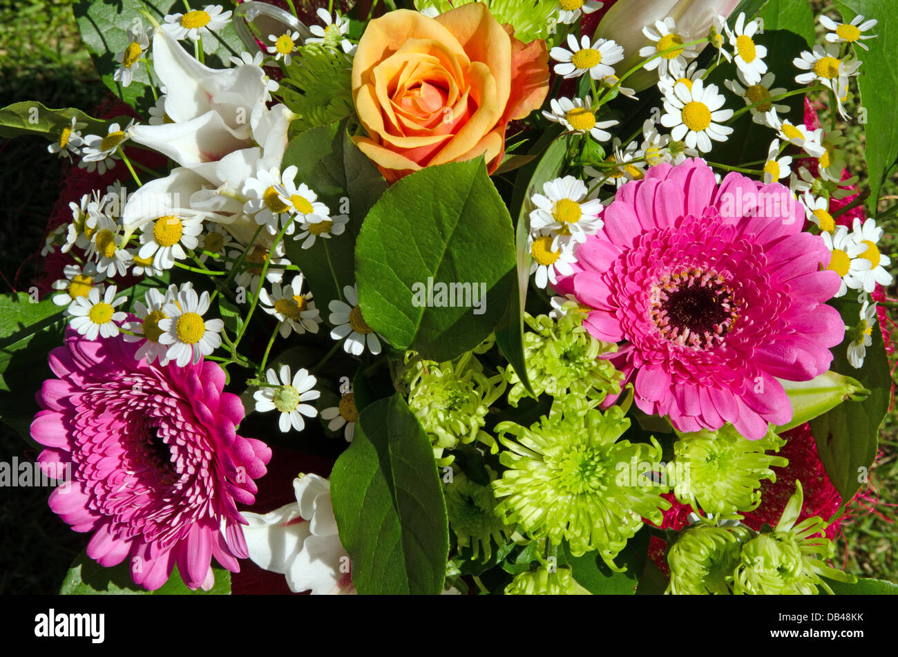 Spring mix flowers bouquet hi-res stock photography and images - Alamy