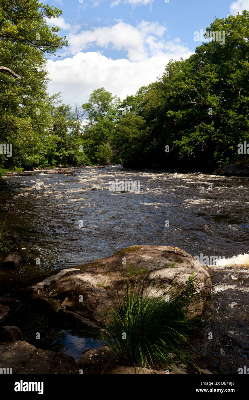Mörrum River, Mörrum. Sweden Stock Photo - Alamy
