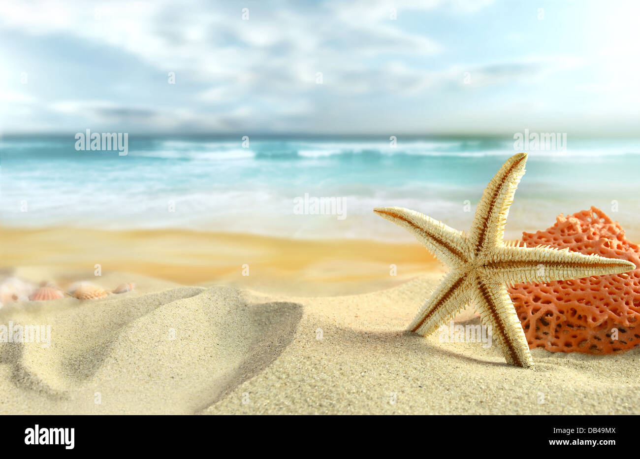 Star sand beach hi-res stock photography and images - Alamy