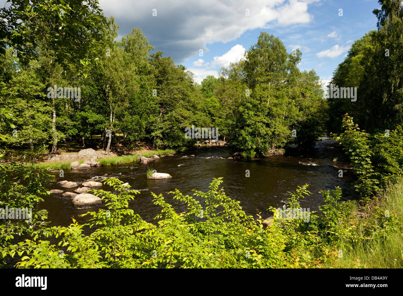 Mörrum River near Aakeholm. Sweden Stock Photo - Alamy